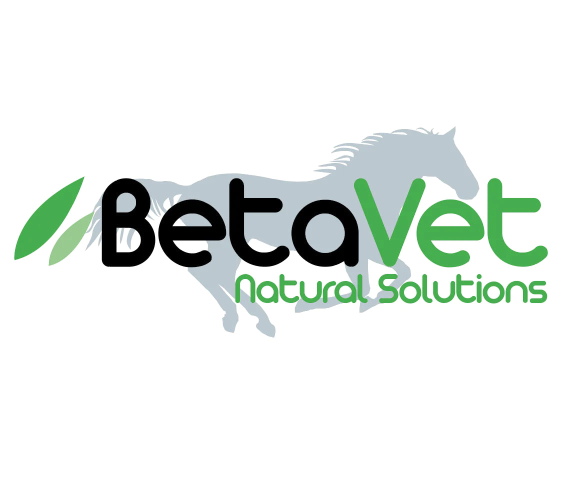 Betavet – FEED CENTRAL