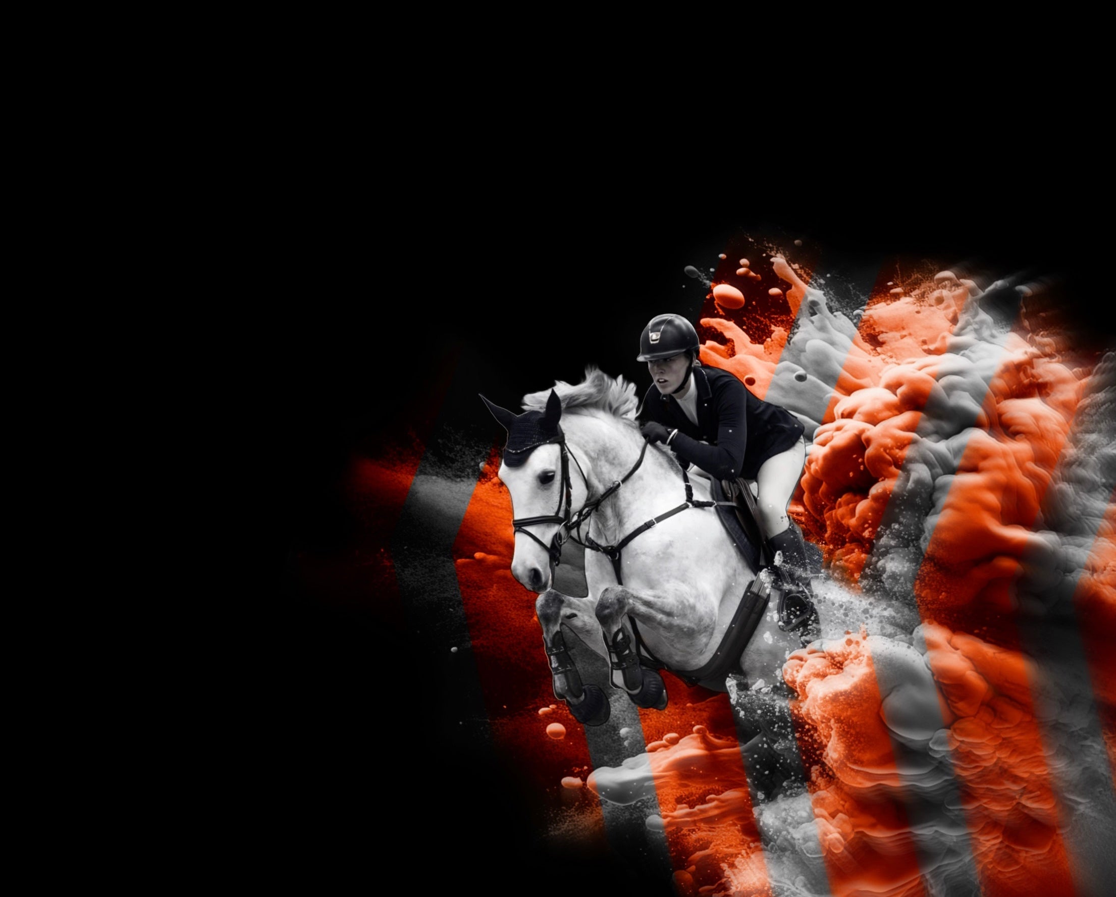 Feed Central – FEED CENTRAL