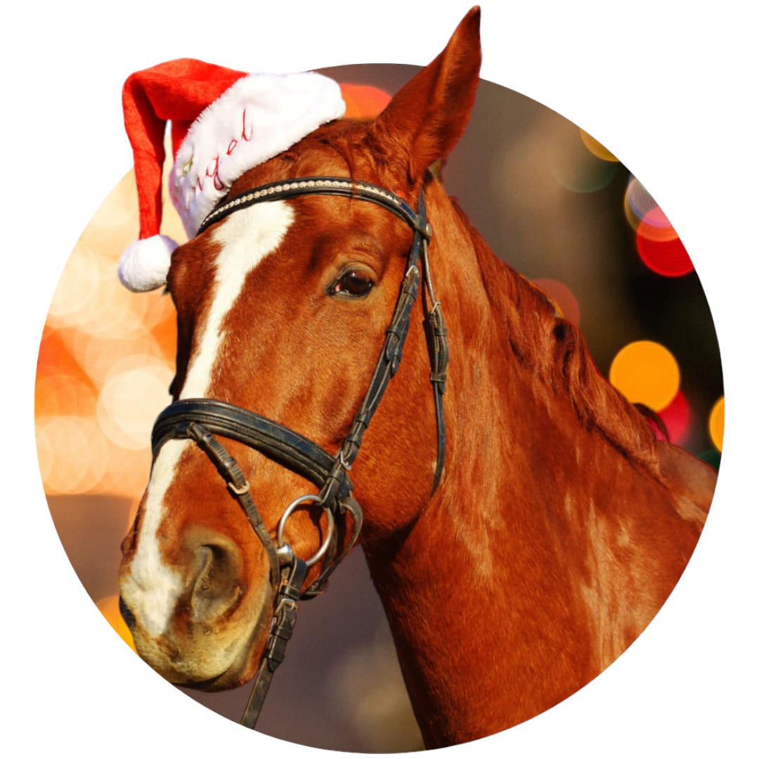 Feed Central – FEED CENTRAL