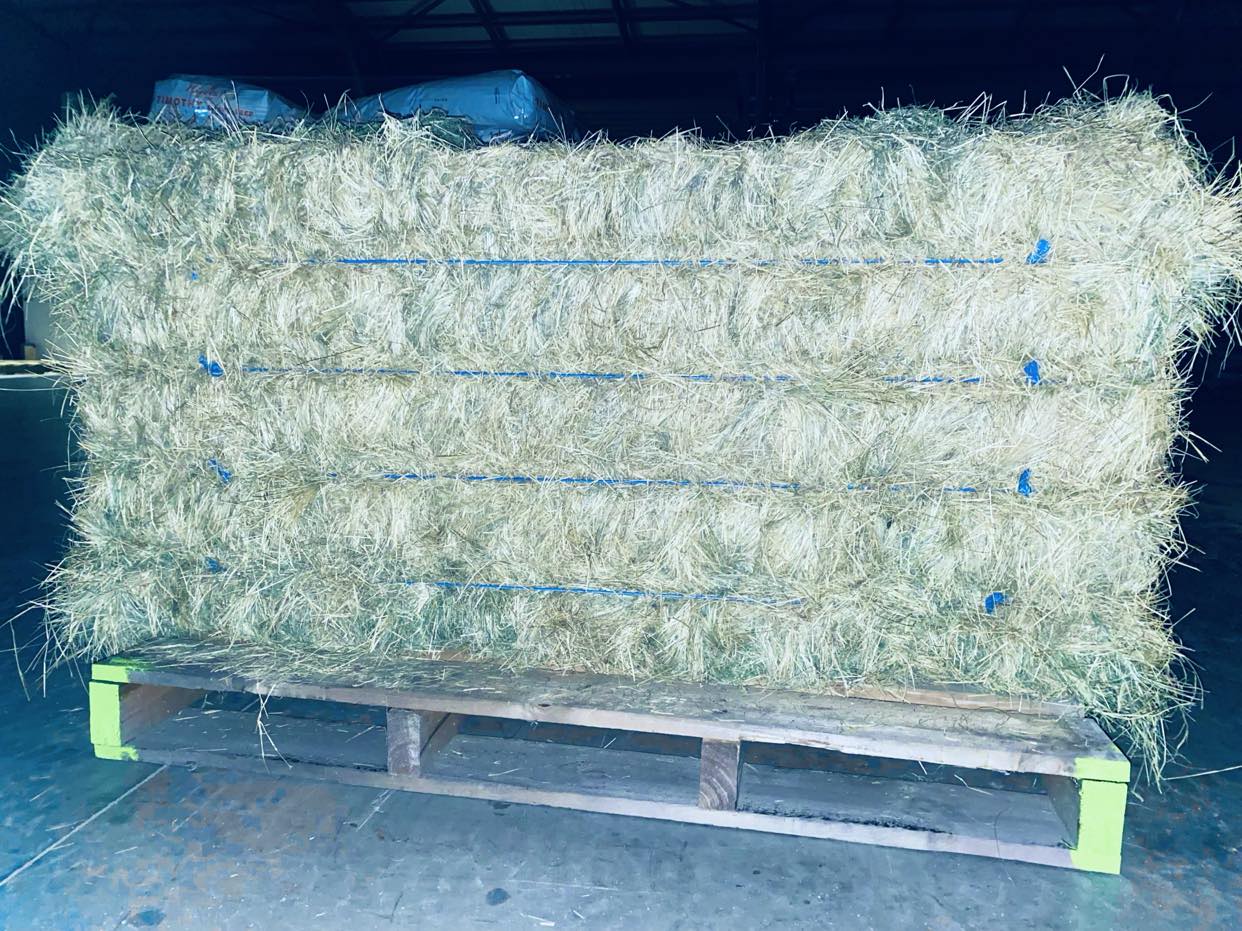 Hay & Chaff – FEED CENTRAL